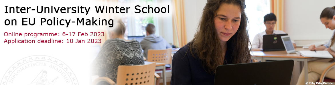 Vienna School of International Studies